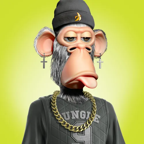 CNFT Tools - The Jungle