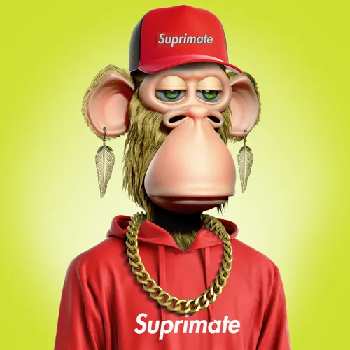 CNFT Tools - The Jungle